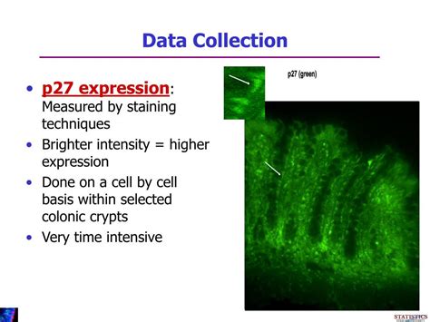 PPT Semiparametric Methods For Colonic Crypt Signaling PowerPoint Presentation ID