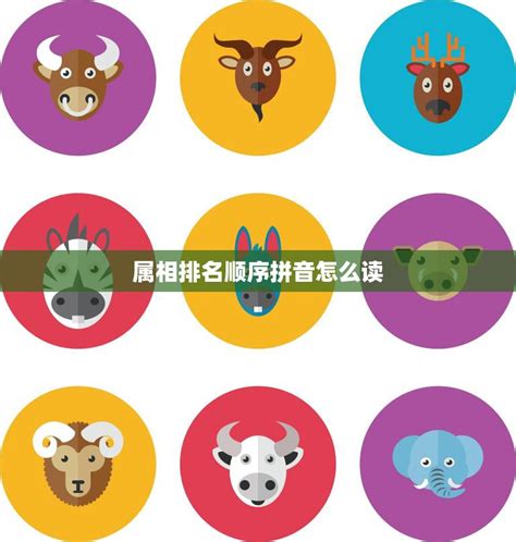 属相排名顺序拼音怎么读 如何正确念出十二生肖的排名顺序 星辰运势
