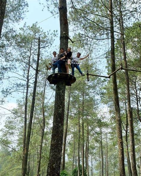 Bandung Treetop Adventure Park Objek Wisata Seru Dan Menantang Yang Akan Membuat Liburan Berkesan