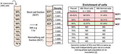 Percoll Discontinuous Density Gradient Centrifugation Based