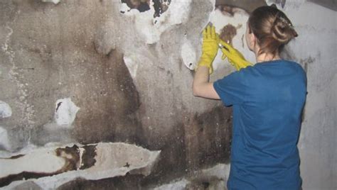 Видалення запаху гару після пожежі як це роблять клінери і скільки коштує Читайте на Ukr Net