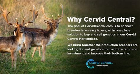 Cervid Central Marketplace