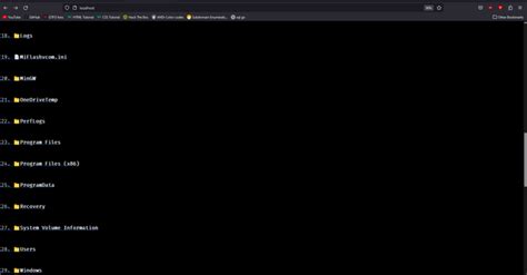 Directory Traversal Vulnerability R Programmerhumor