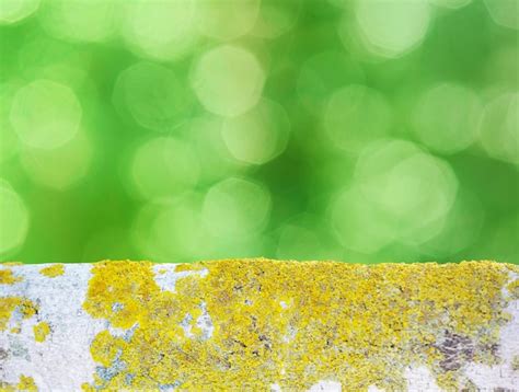 Images De Fond Jaune Vert Mariage Téléchargement Gratuit Sur Freepik