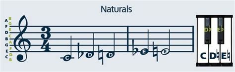 How To Read Sheet Music A Step By Step Guide Musicnotes Now