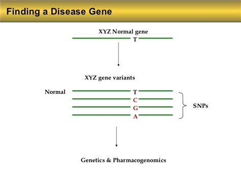 Identification Of Disease Genes