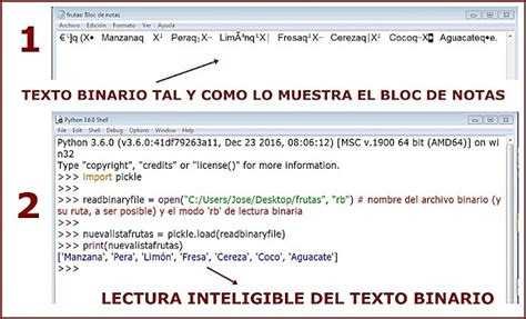 APRENDER A PROGRAMAR CON PYTHON