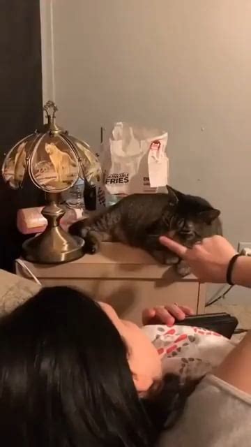 Conductive Wunk R Wunkus