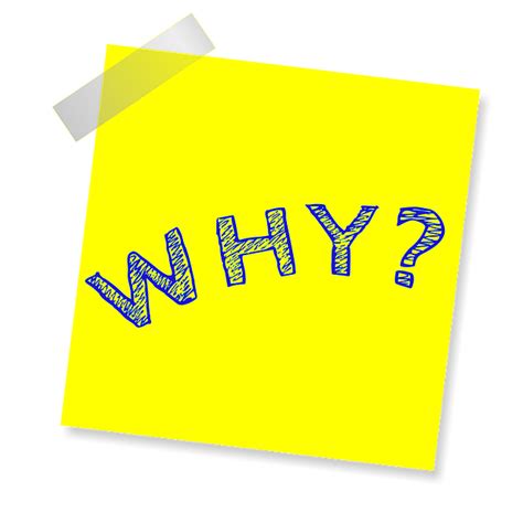 200 Free Why And Why Images Pixabay