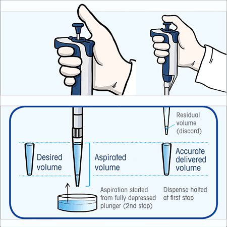 How To Reverse Pipette Reverse Pipetting Rainin