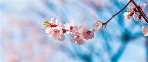 【sql】sql 高频面试题英语版1 知乎