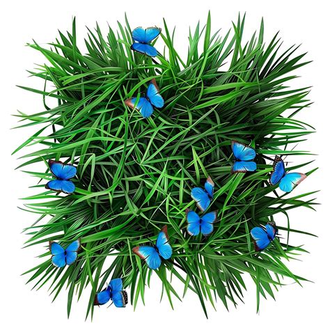 Seashore Paspalum Dark Green Grass With Blue Butterflies And Fresh