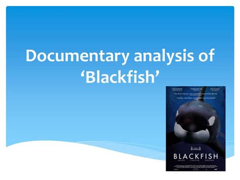 Black Fish Documentary Analysis Pptx
