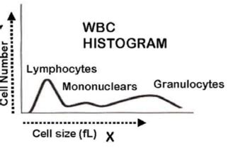 Automation Flashcards Quizlet