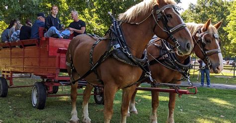 Laporte County Fair Gears Up For Its 179th Celebration Agrinews