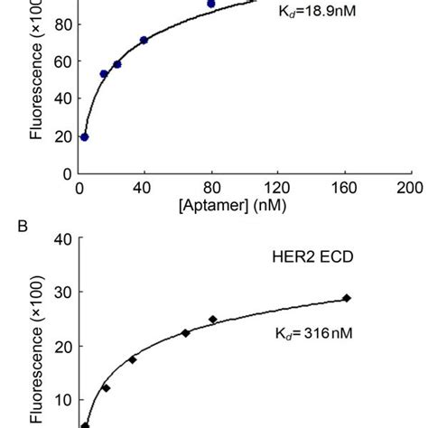 Quantitative Assay Of Hb5s Binding Affinity Beads Coated With Her2