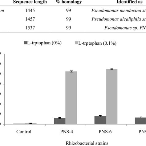Isolation And Molecular Identification Of Pseudomonas Strains
