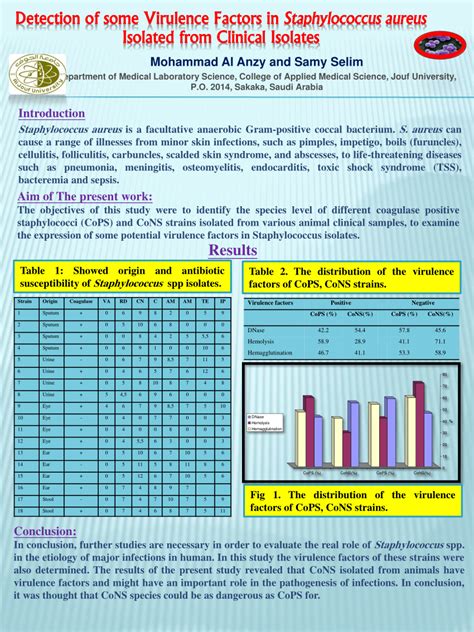 Pdf Detection Of Some Virulence Factors In Staphylococcus Aureus Isolated From Clinical Isolates