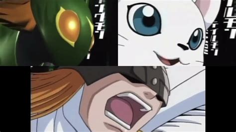 Xvmon And Stingmon Plus Gatomon And Aquilamon Plus Angemon And