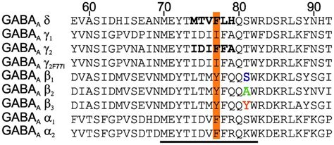 Sequence Alignment Of Gaba A Receptor Subunits Between Amino Acids 58