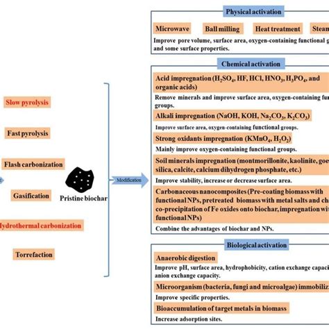 Pdf Functionalized Biochars For Enhanced Removal Of Heavy Metals From Aqueous Solutions