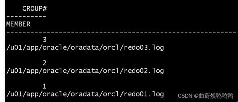oracle 联机重做日志文件的布置 移动，多路复用 oracle如何做增加联机重做日志组 csdn博客