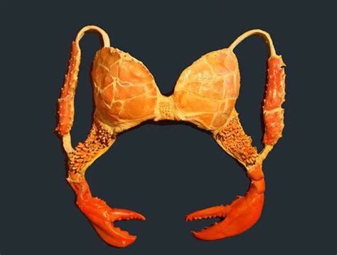 Strange Weird Bras Picscrunch