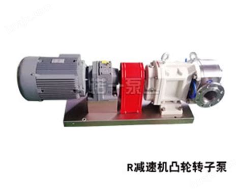 凸轮转子泵15方图片 凸轮转子泵15方图片大全 化工机械设备网