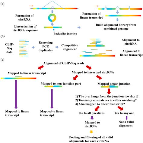 Large Scale Profiling Of Rbp Circrna Interactions From Public Clip Seq Datasets