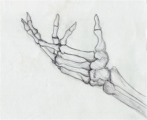 Easy Skeleton Hand Drawing Easy Drawing For Beginers