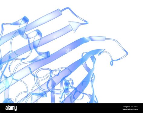 Bacterial Outer Membrane Protein Molecule Computer Model Showing A Part Of The Secondary
