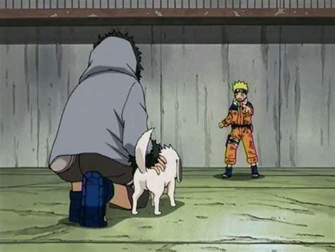 Who Is Akamaru In Naruto