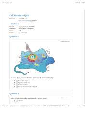 Cell Structure Quiz Cell Structure Quiz PM Cell Structure Quiz Schedule