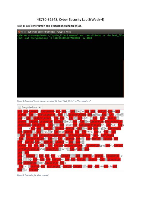 Cybersecurity Lab 3 Encryption And Decryption Cyber Security Lab Task