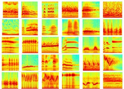 Birdsong Classification With Ensemble Multi Scale Convolutional Neural Network