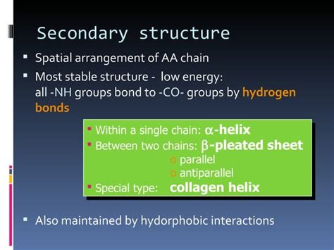 Amino Acids And Proteins Ppt