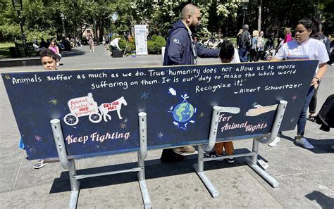 Nyclass Nyclass Twitter