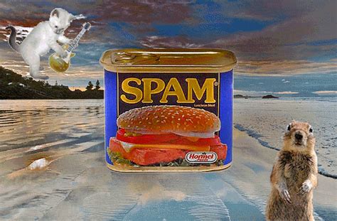Spam S Get The Best  On Er