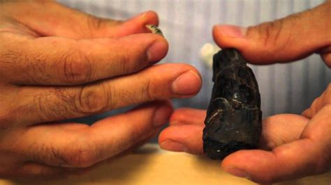Dinosaur Teeth Id A Us Guide You Wont Believe What We Found