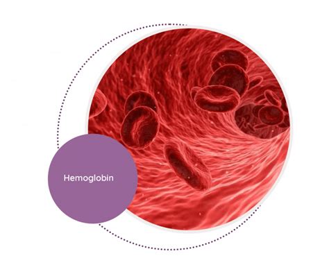 Hemoglobin Mediscan Lab