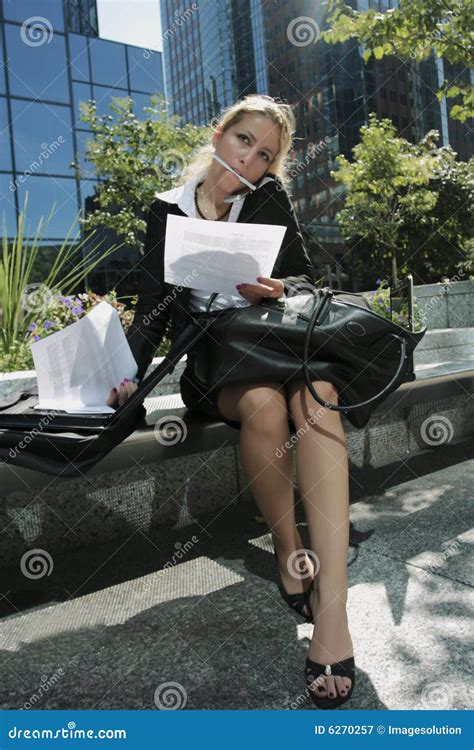 Multi Task Stock Image Image Of Professional Computer 6270257