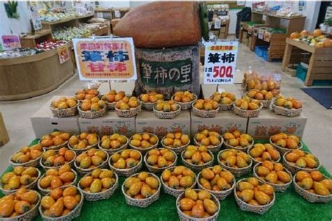 道の駅 筆柿の里幸田