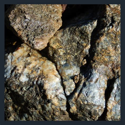 Lynda Hoffman Snodgrass