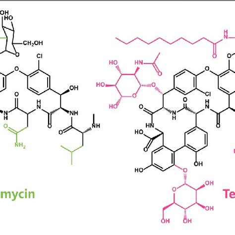 The Chemical Structure Of Vancomycin V And Teicoplanin T