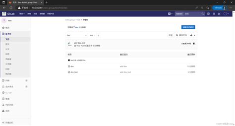 【运维知识高级篇】一篇文章带你搞懂gitlab基础操作（安装部署汉化代码推送分支合并保护主分支gitlab备份）gitlab汉化 Csdn博客
