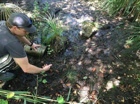 Experimental Eco Evolutionary Dynamics — Turcotte Lab Of Experimental Evolutionary Ecology