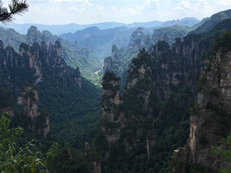 2024仙女献花游玩攻略今天主要游览天子山景区，仙【去哪儿攻略】