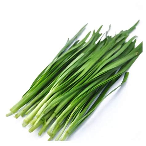 Chinese Yellow Chives At Marisela Warren Blog