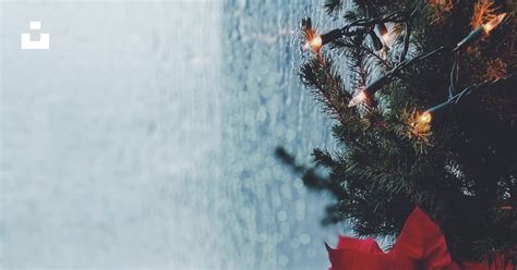 창가의 크리스마스 트리 옆에서 커피 한 잔 사진 Unsplash의 무료 미국 이미지