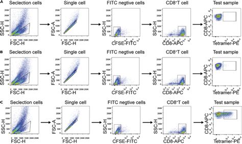 Production And Purification Of Infectious Diseases Associated Tetramer
